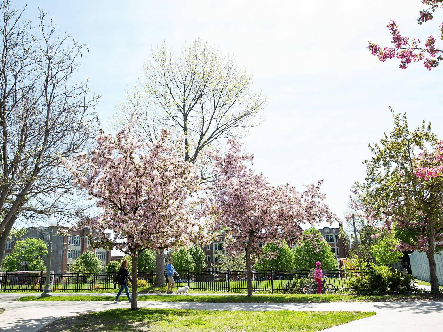 21 Best Montreal Parks to Explore