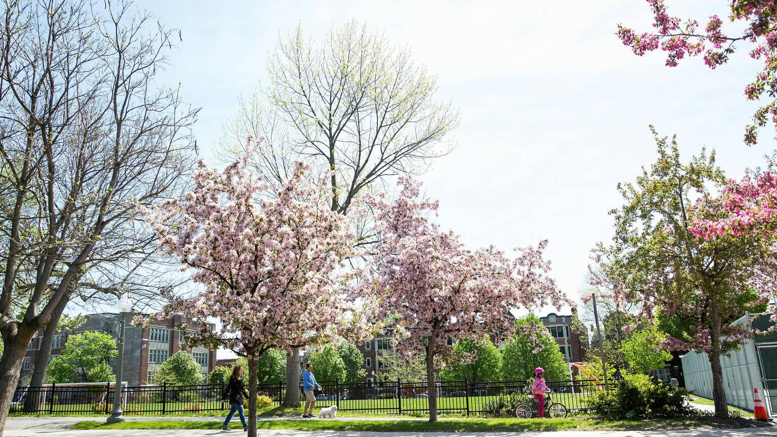 21 Best Montreal Parks to Explore