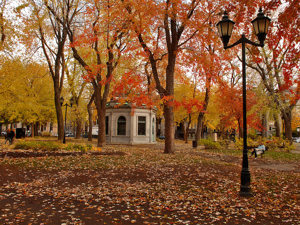 21 Best Montreal Parks to Explore