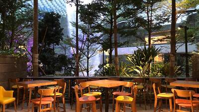 Tonito | Restaurants in Changi , Singapore