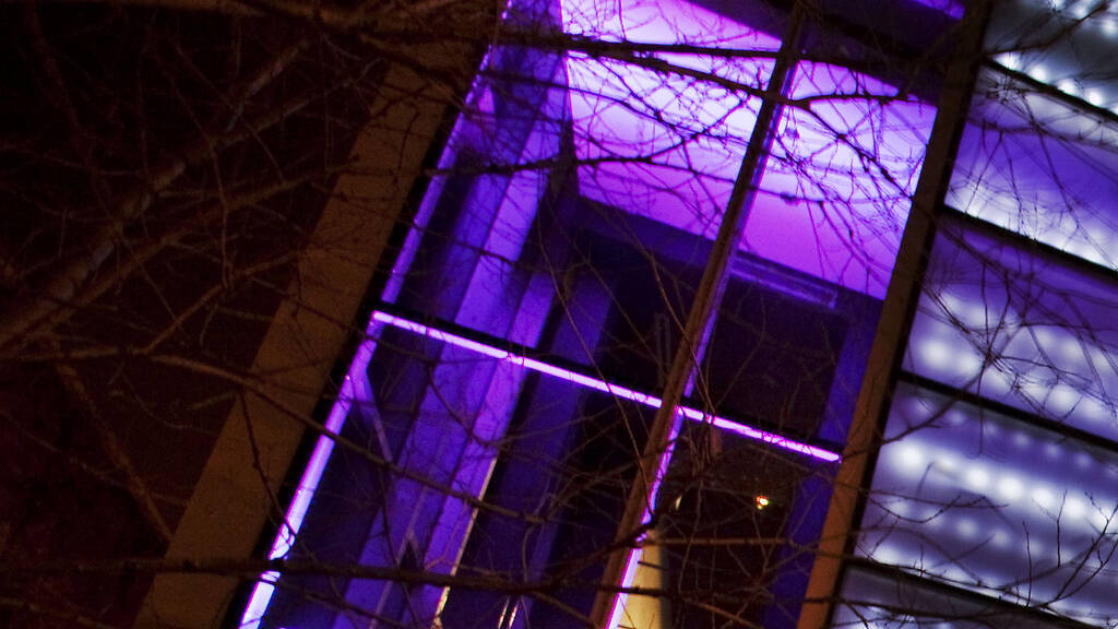 The Best Montreal Movie Theatres to Watch Every Kind of Film