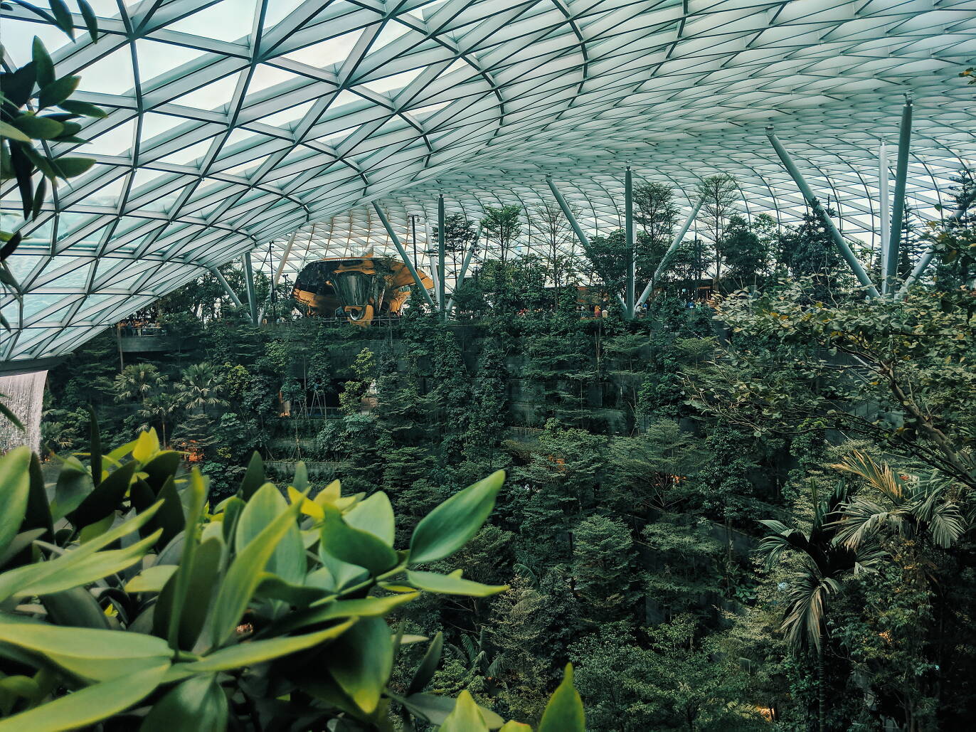 The Ultimate Guide To Canopy Park At Jewel Changi Airport