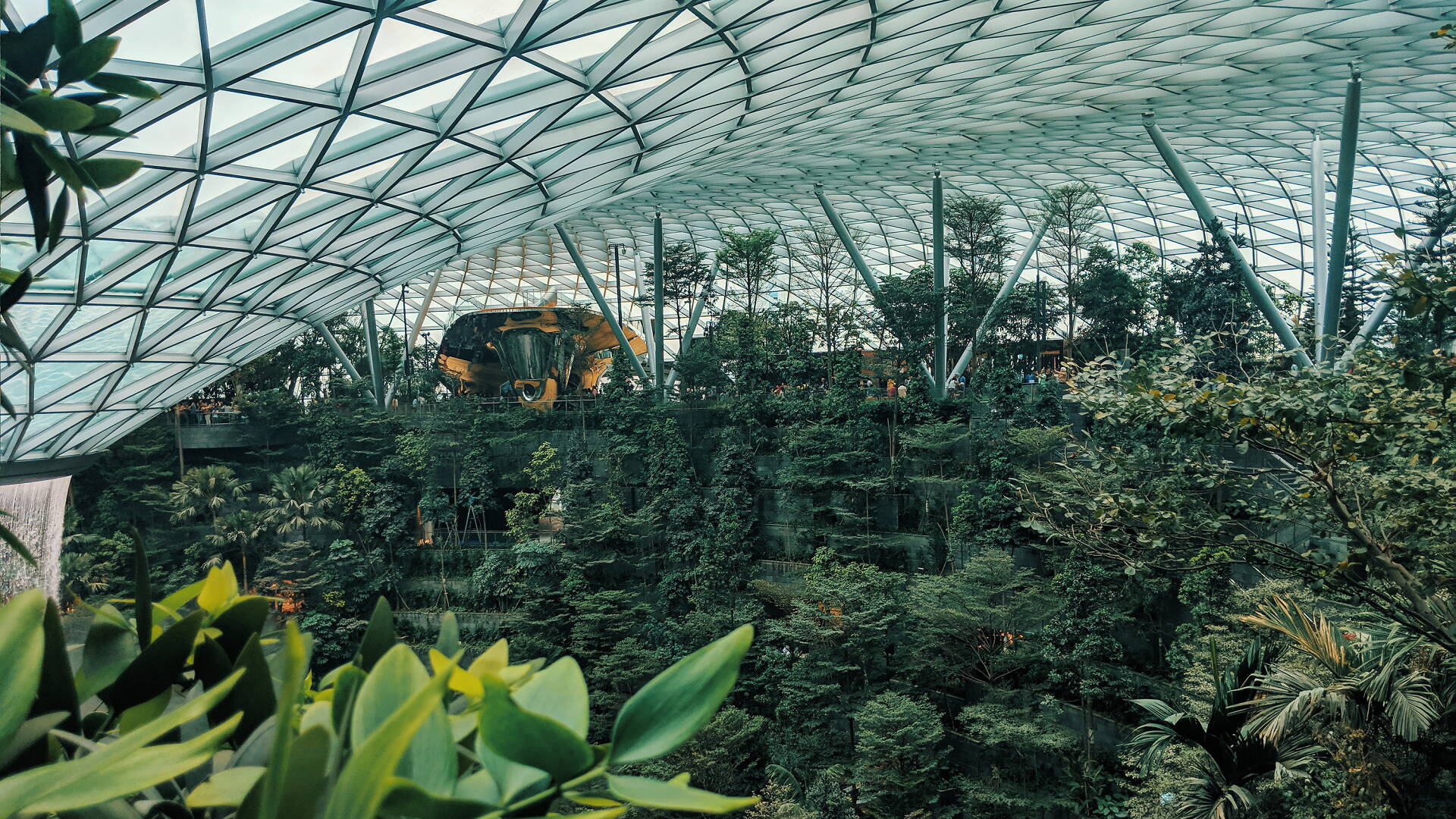 The Ultimate Guide To Canopy Park At Jewel Changi Airport