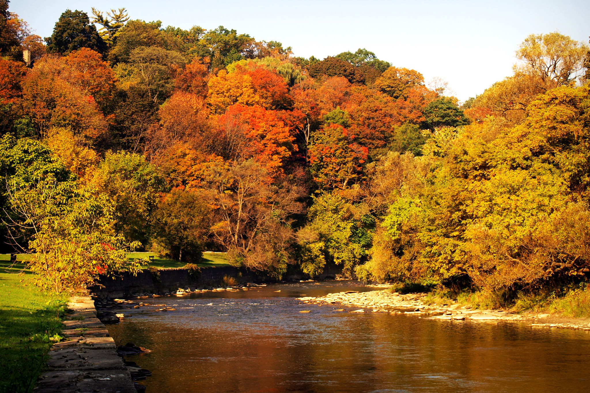 26 Best Things to do in Toronto This Year