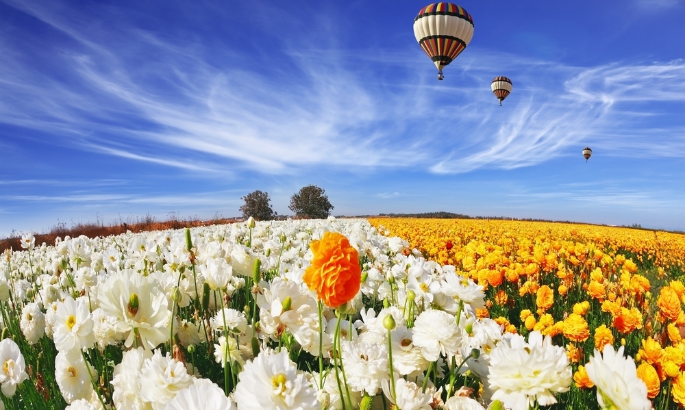 The best Family-Friendly Spring Time Adventures in Israel