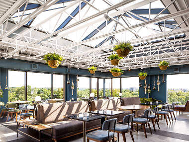 20 Best Bars in Toronto to Check Out Right Now