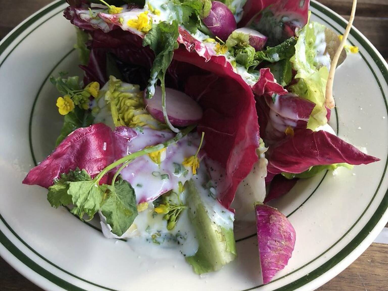 13 Best Bushwick Restaurants for Your Perfect Night Out