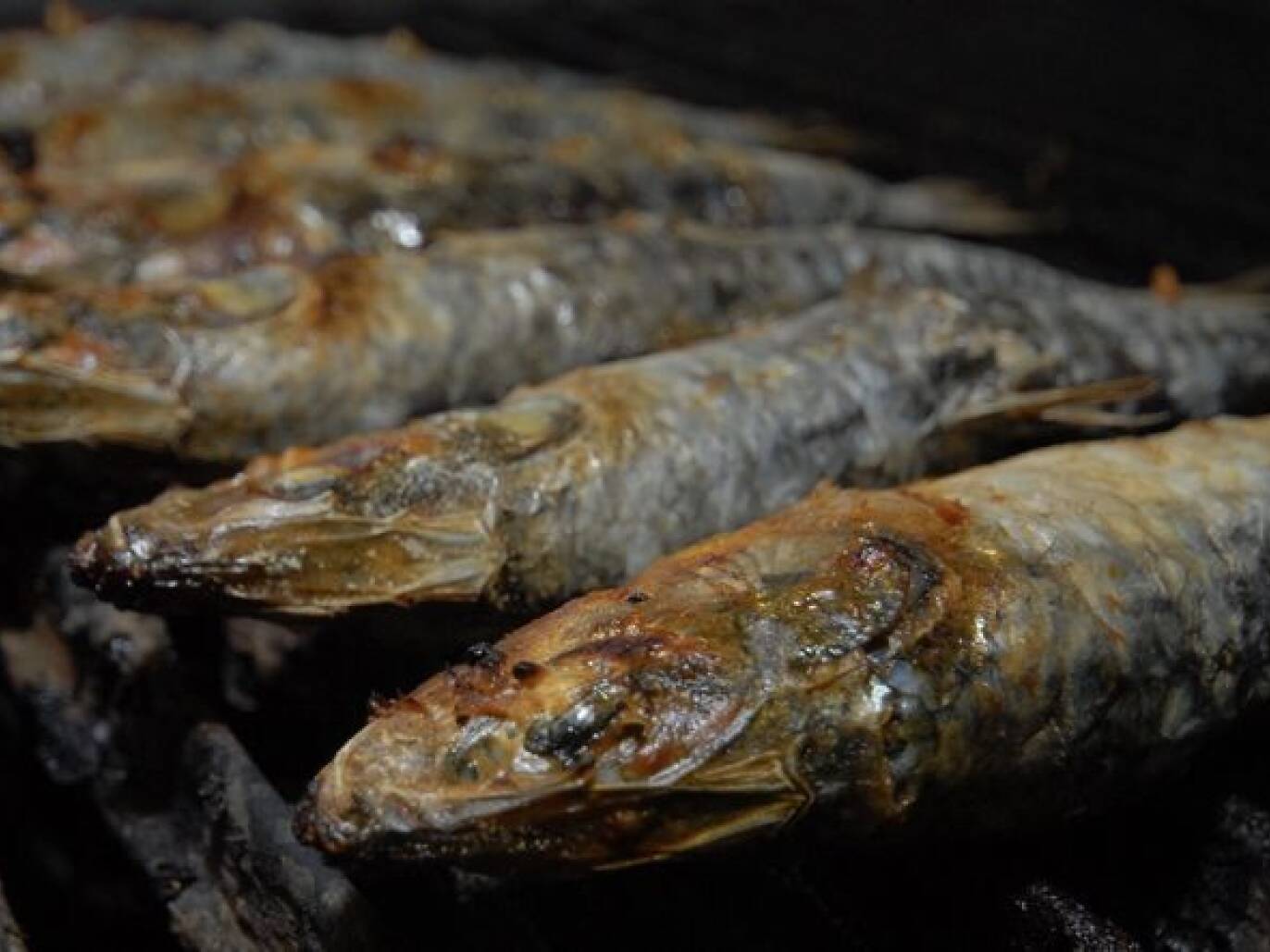 23 Best Seafood Restaurants in Montreal For A Fresh Catch