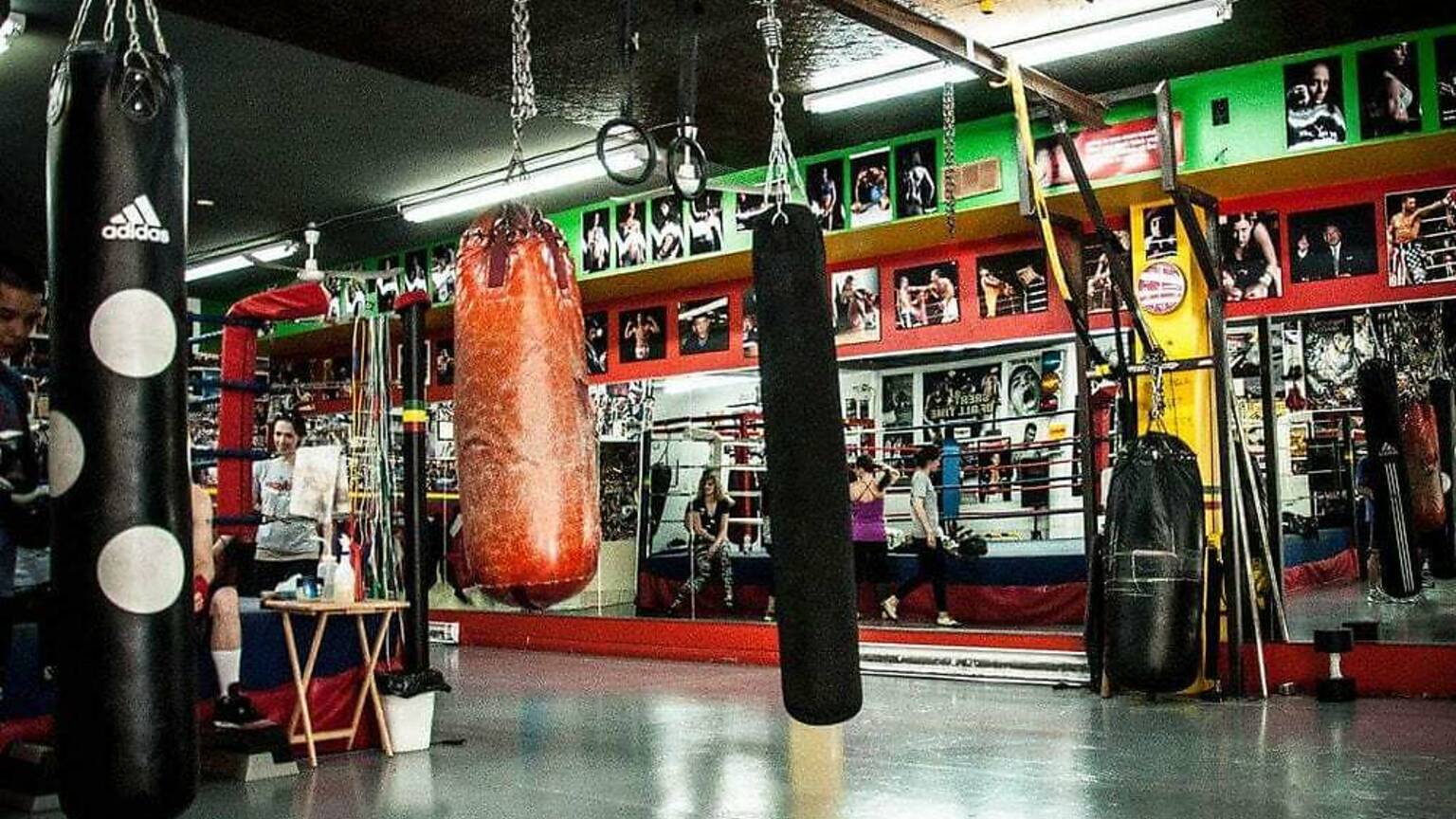 The Best Gyms in Montreal to Burn Fat, Build Muscle and More