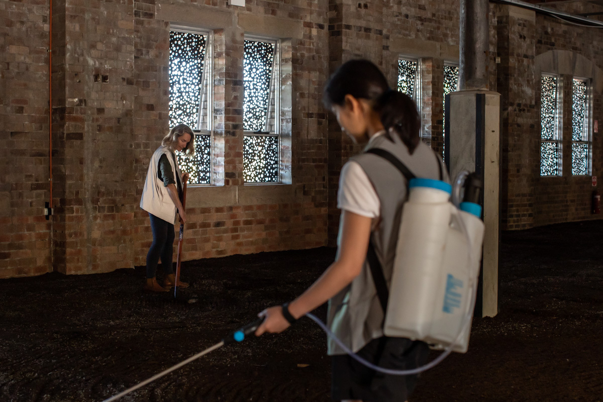 Asad Raza: Absorption | Art in Sydney