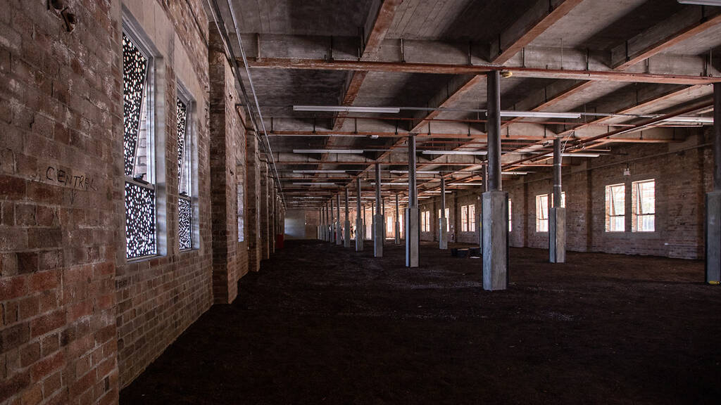 Asad Raza: Absorption | Art in Sydney