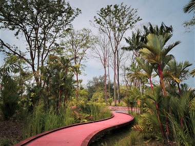 22 Best Nature Trails In Singapore | Nature Walks