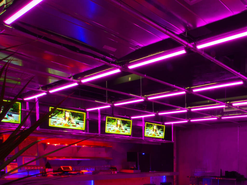 18 Best Bushwick Restaurants for Your Perfect Night Out