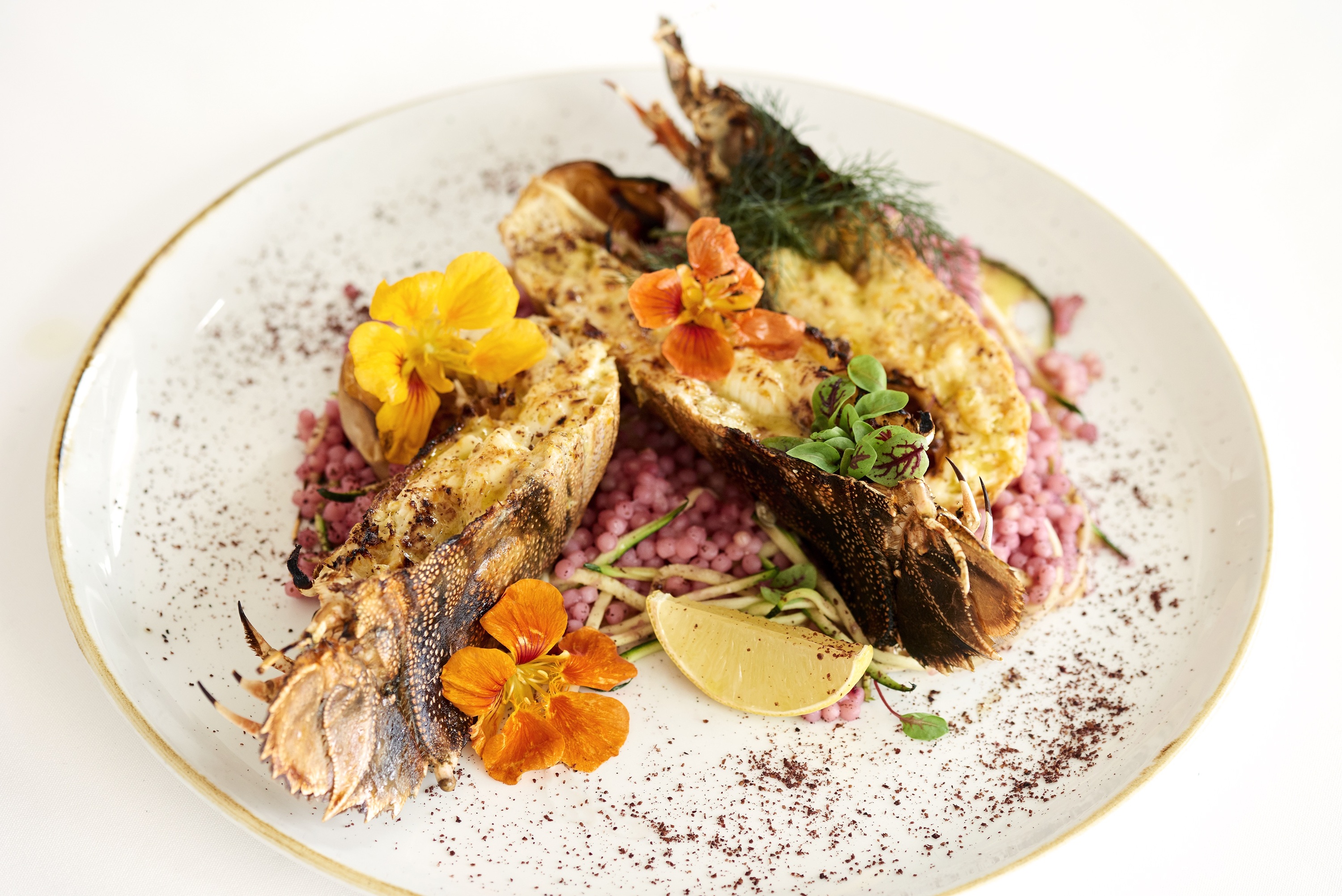 Jounieh | Restaurants in Dawes Point, Sydney