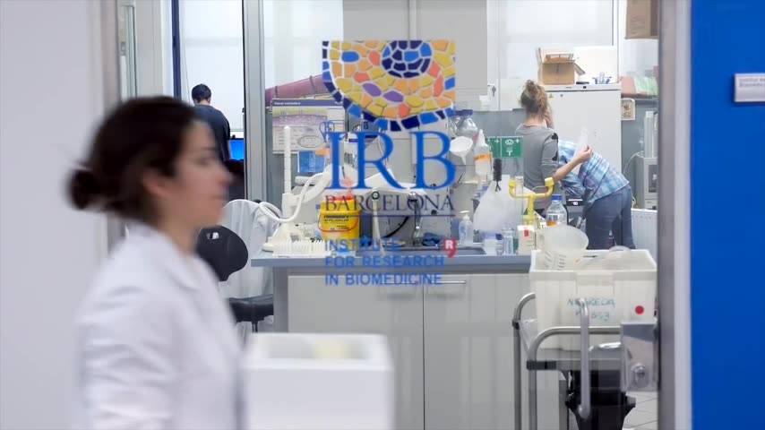 Instituto de Investigación Biomédica de Barcelona (IRB Barcelona)