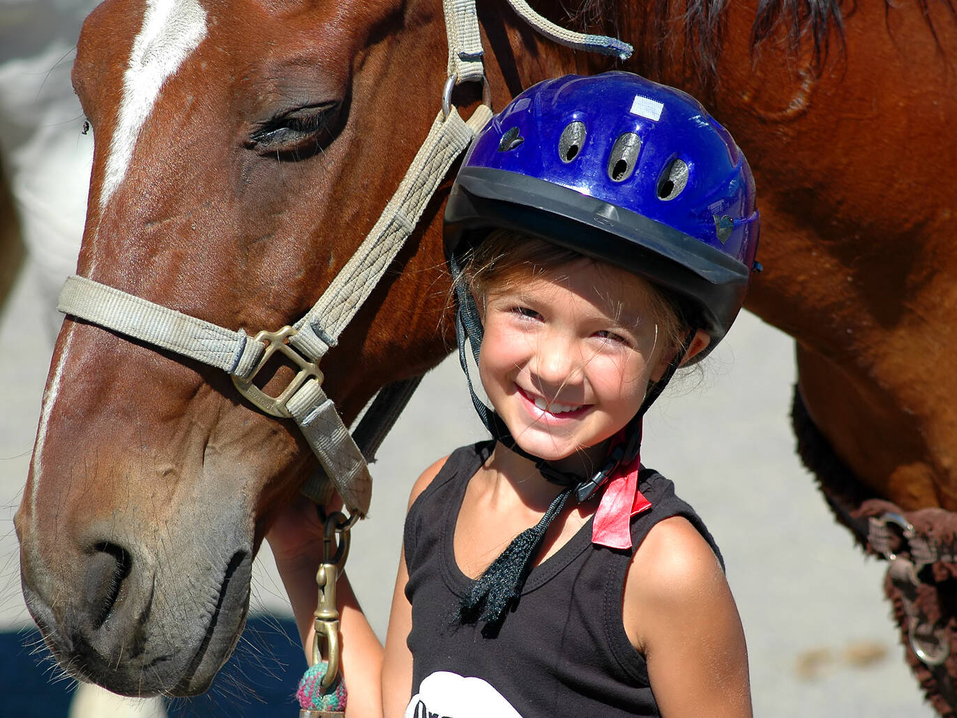 6 Best Spots for Horseback Riding in NYC