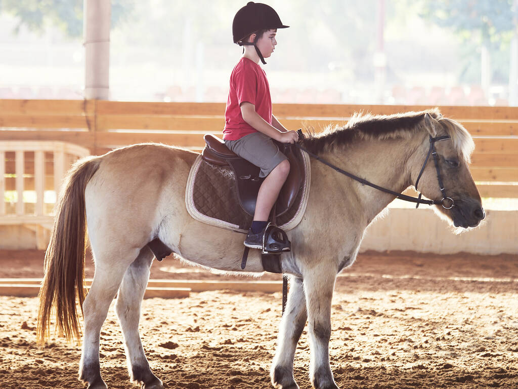 6 Best Spots for Horseback Riding in NYC