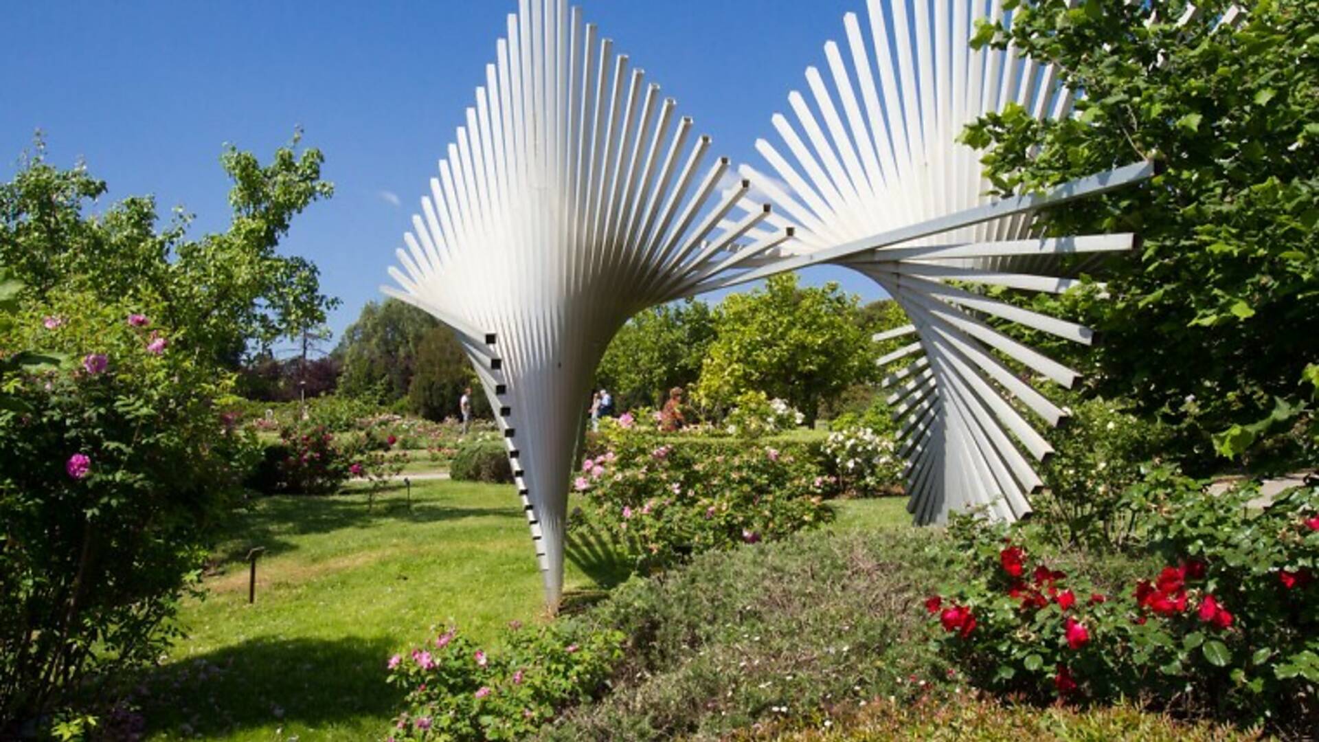Parque de Cervantes, miles de rosas en la zona alta de Barcelona