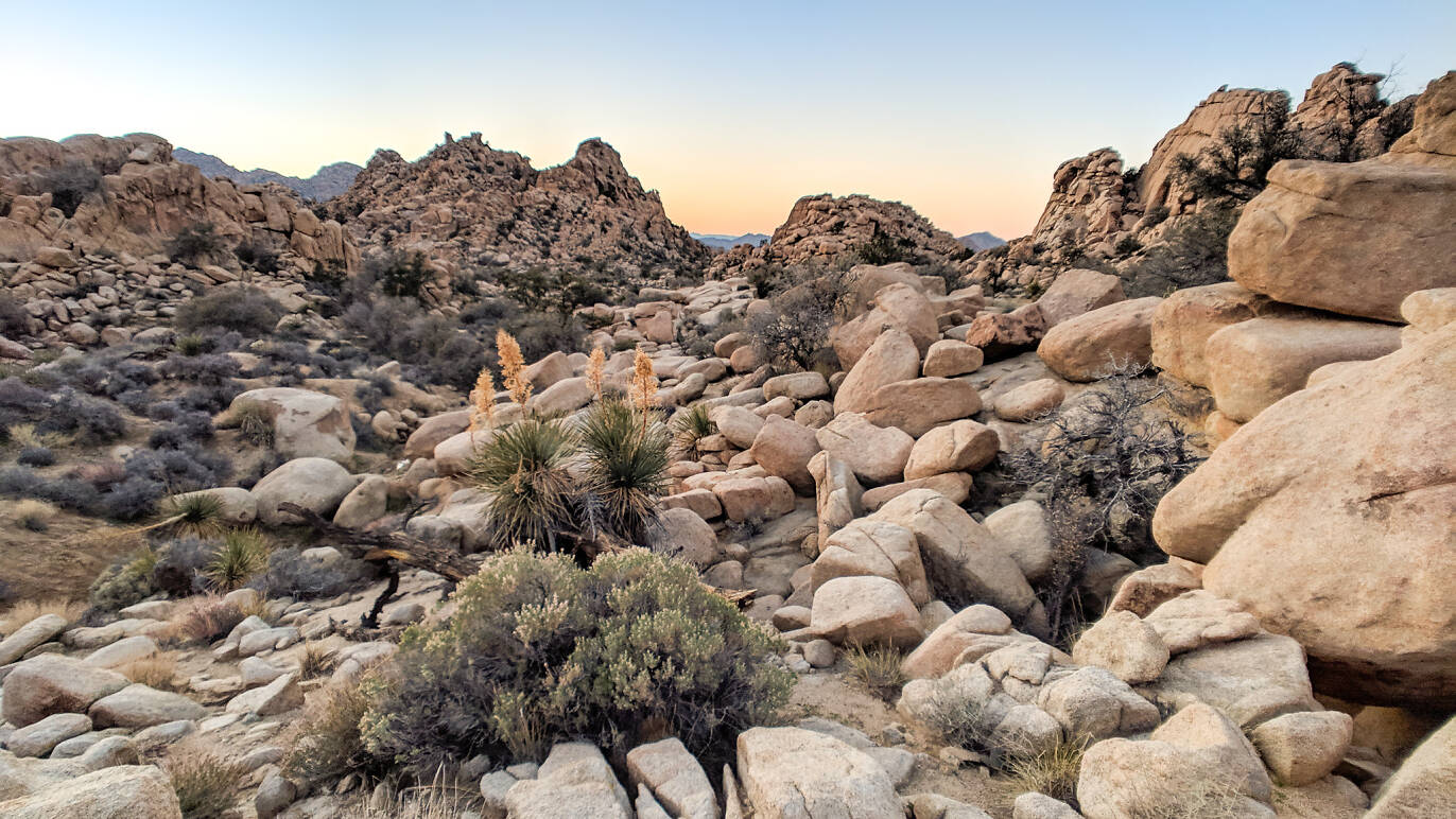 12 Best Road Trips From Los Angeles For an Adventure Behind the Wheel