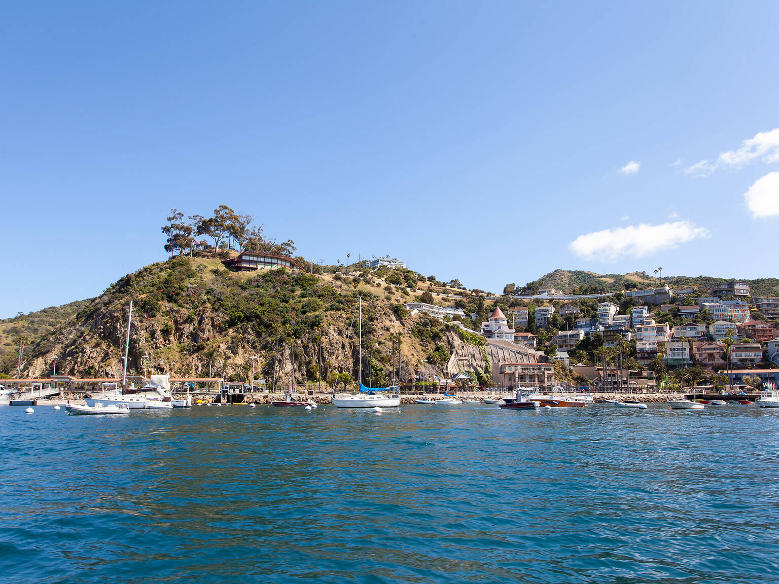 Santa Catalina Island, California 2026 | Ultimate Guide To Where To Go ...