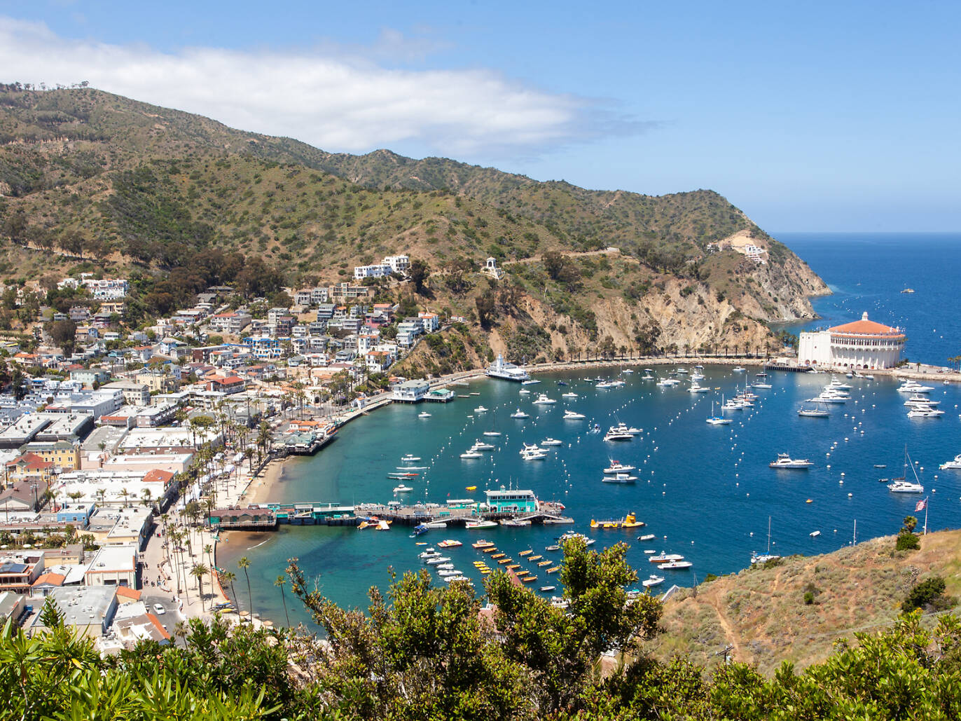 29 Best Outdoor Activities in Los Angeles Any Time of Year