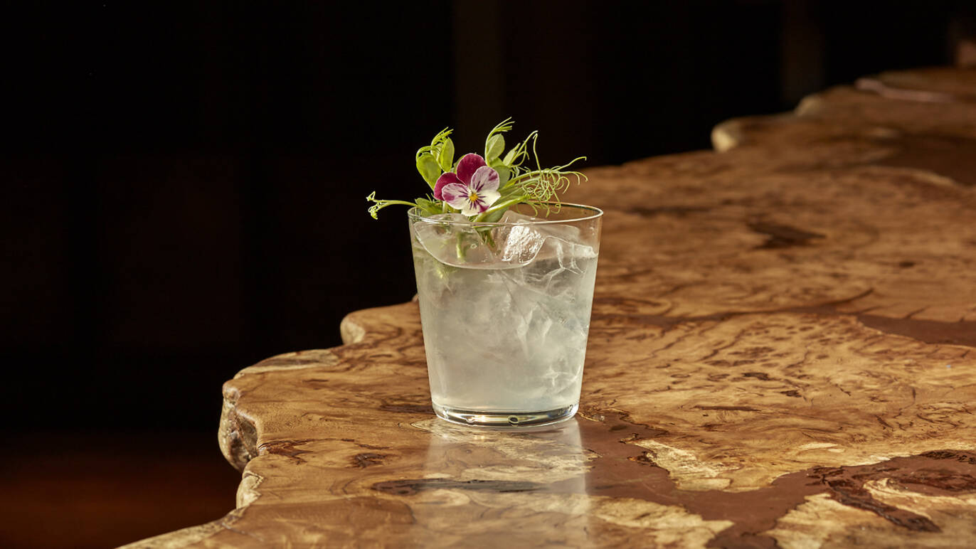 Hide Below | Bars and pubs in Piccadilly, London