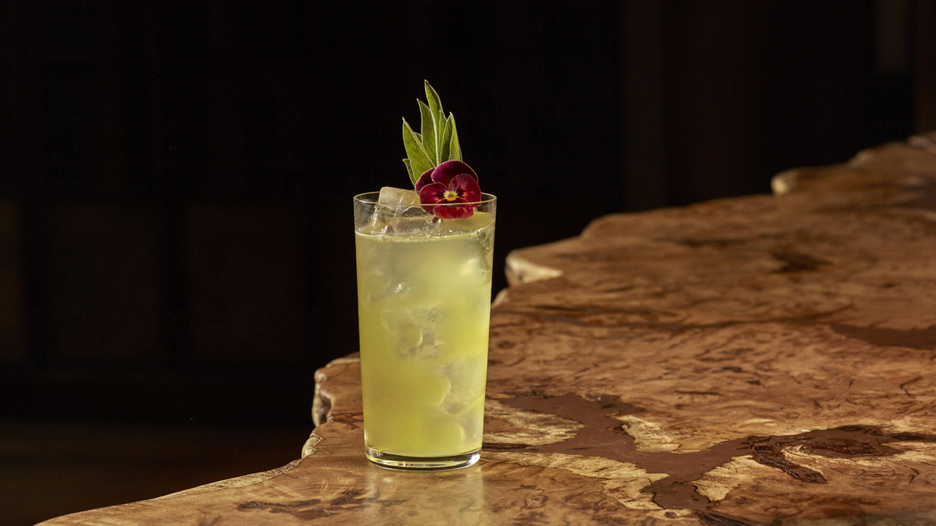 Hide Below | Bars and pubs in Piccadilly, London