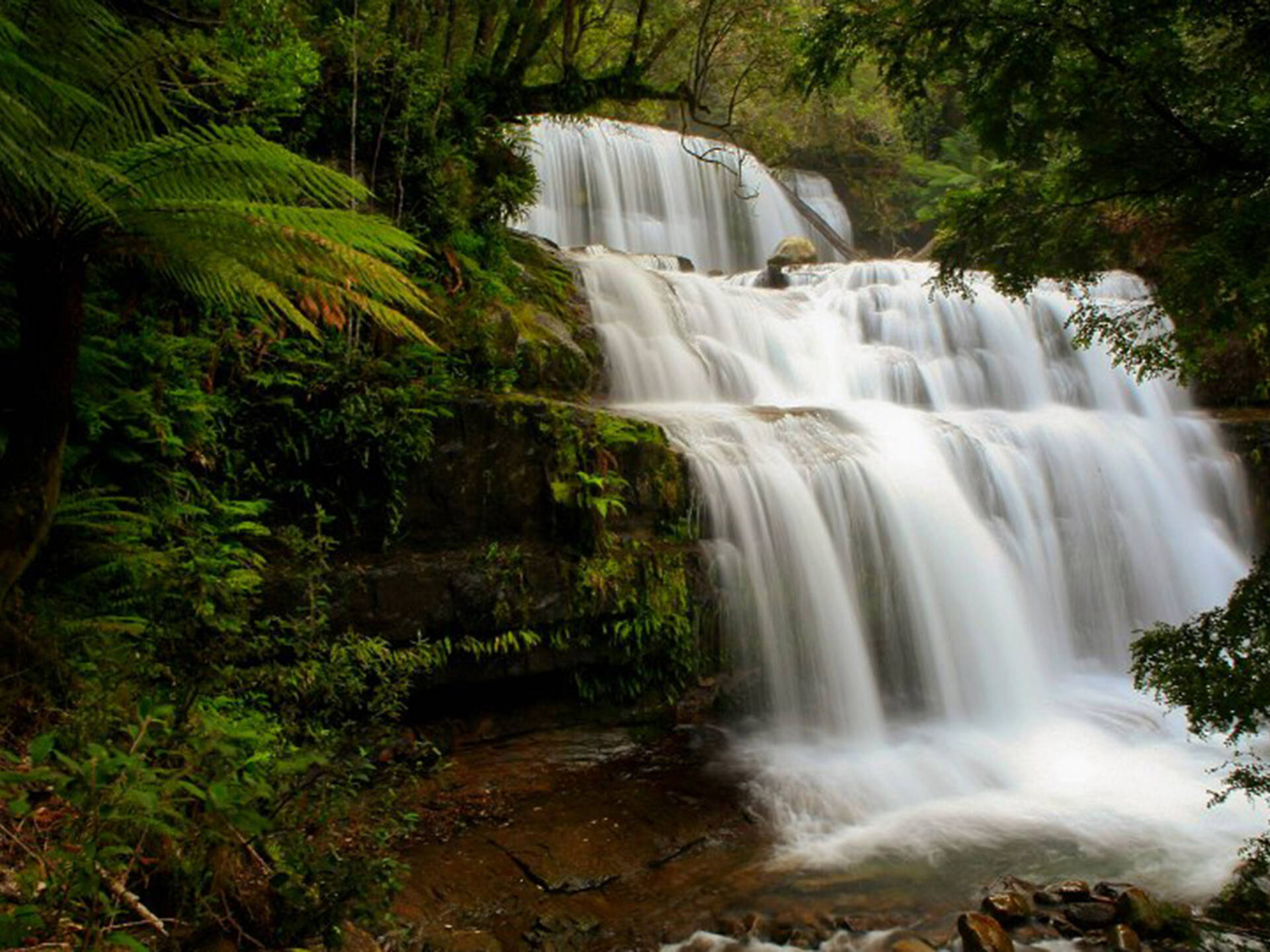 The ultimate Tassie road trip you never knew you needed