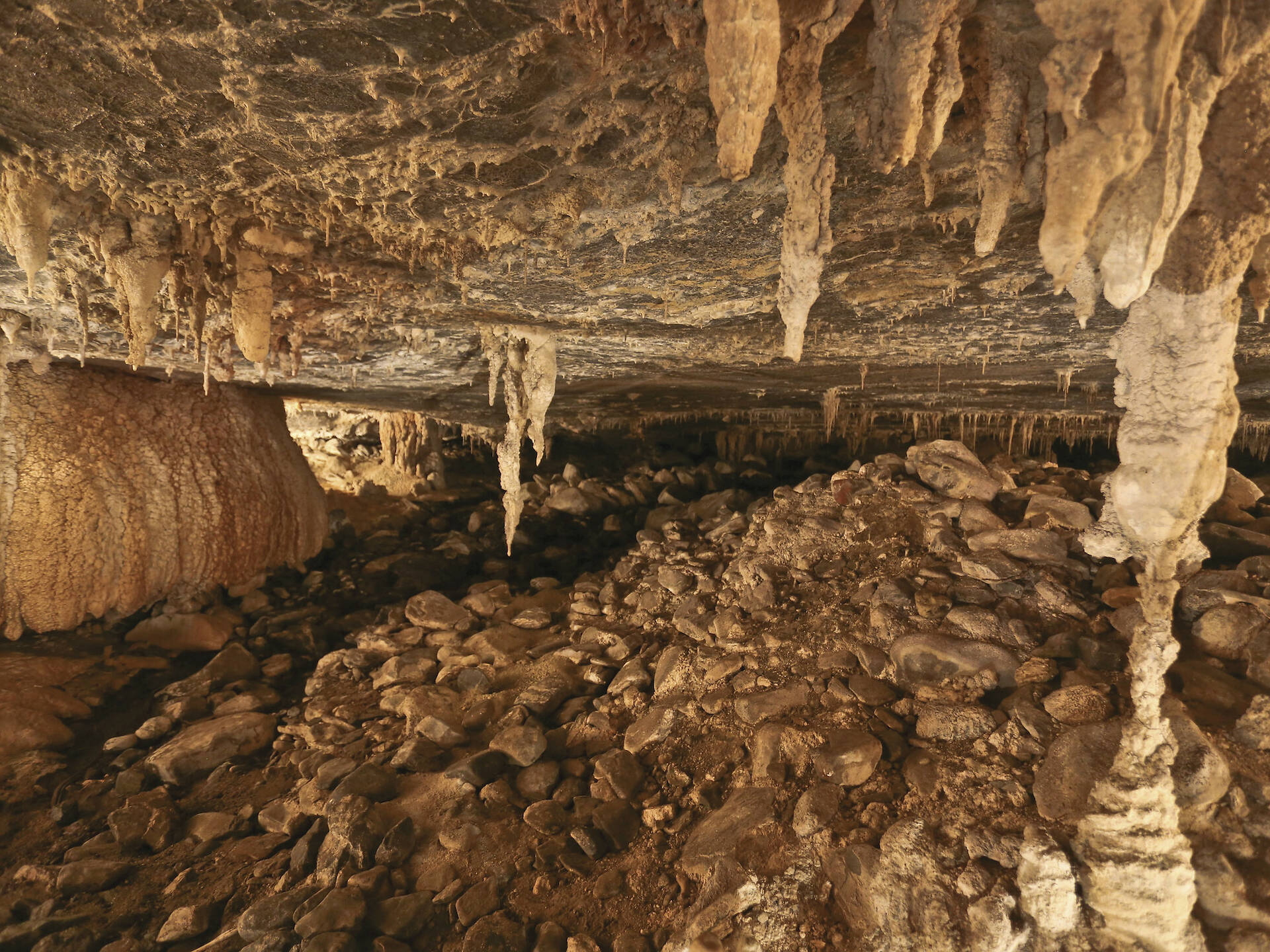 The ultimate Tassie road trip you never knew you needed