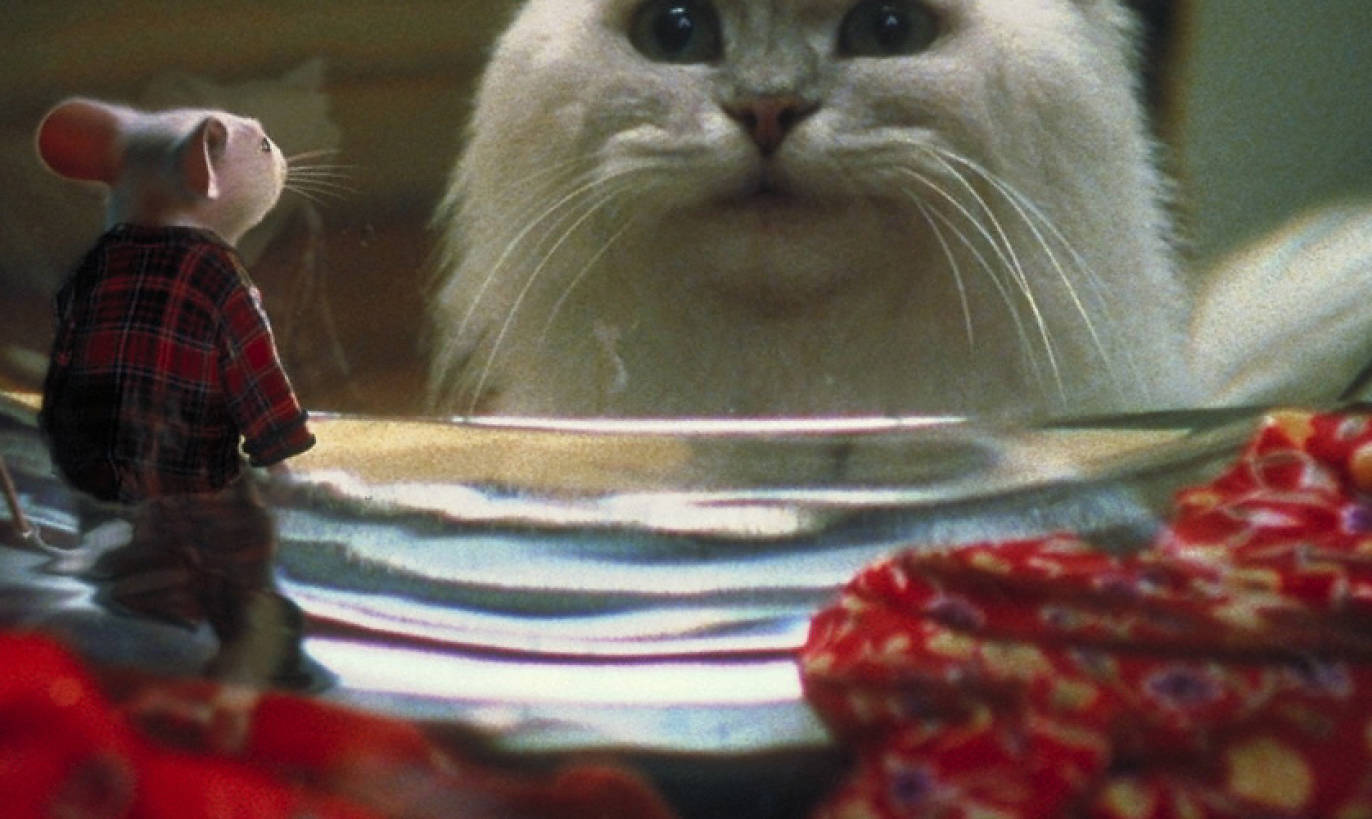 10 Gatos inolvidables del cine y la televisión