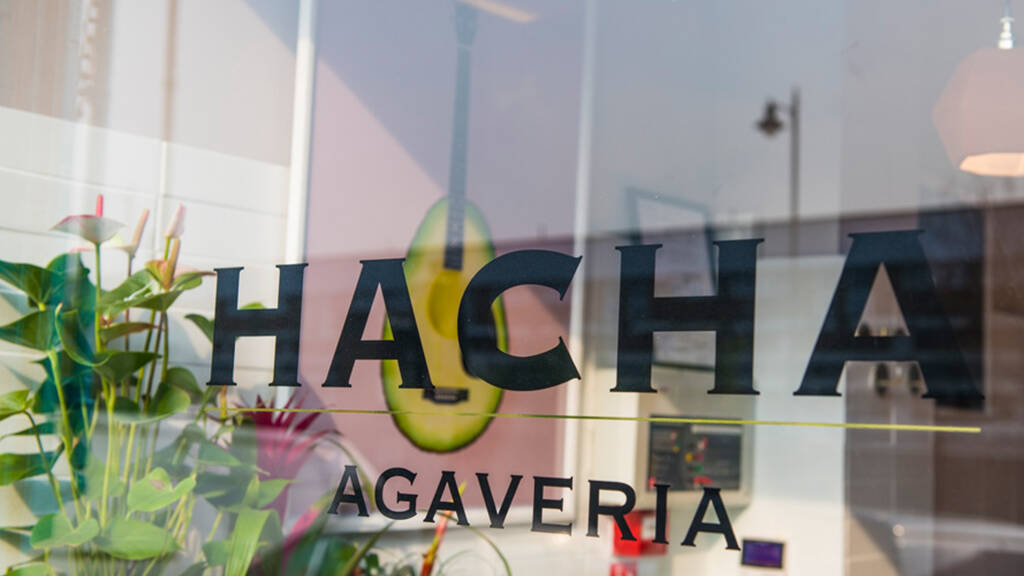 Hacha | Bars and pubs in Dalston, London