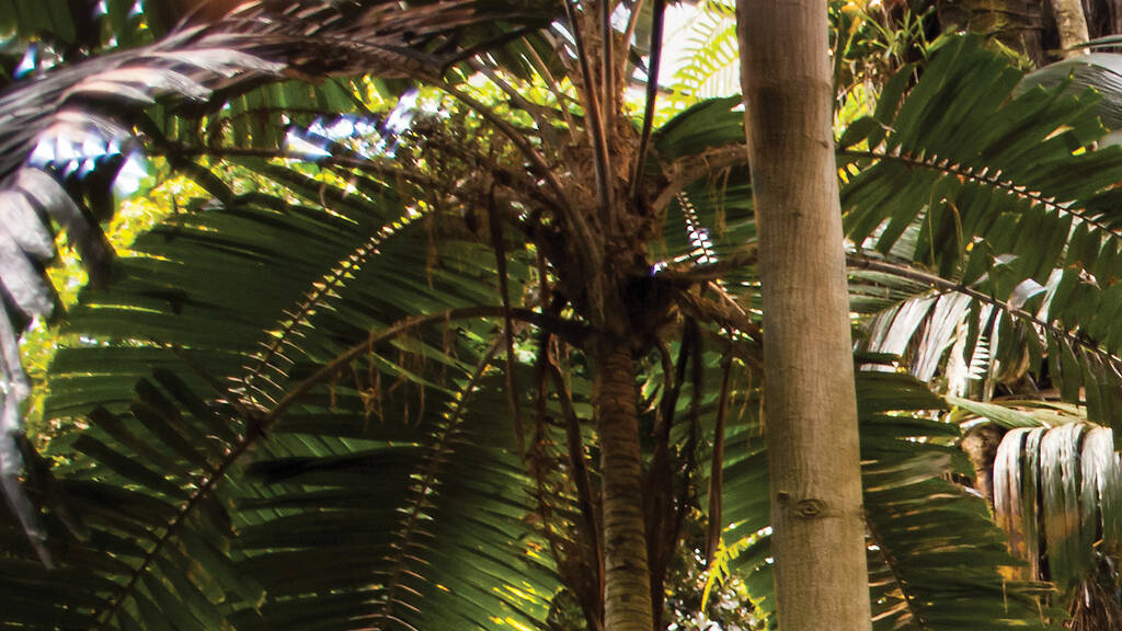 Best Montreal Zoos to Visit and Bring Out Your Wild Side