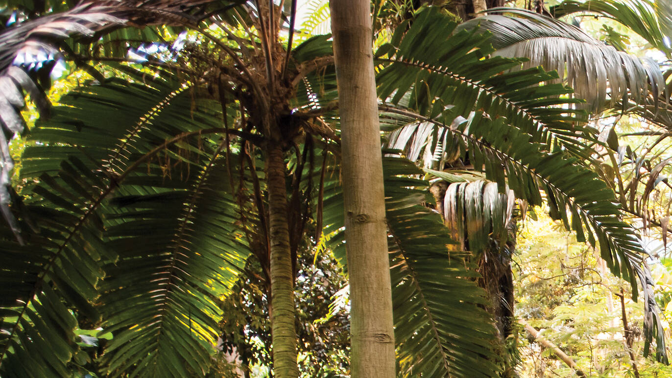 Best Montreal Zoos to Visit and Bring Out Your Wild Side