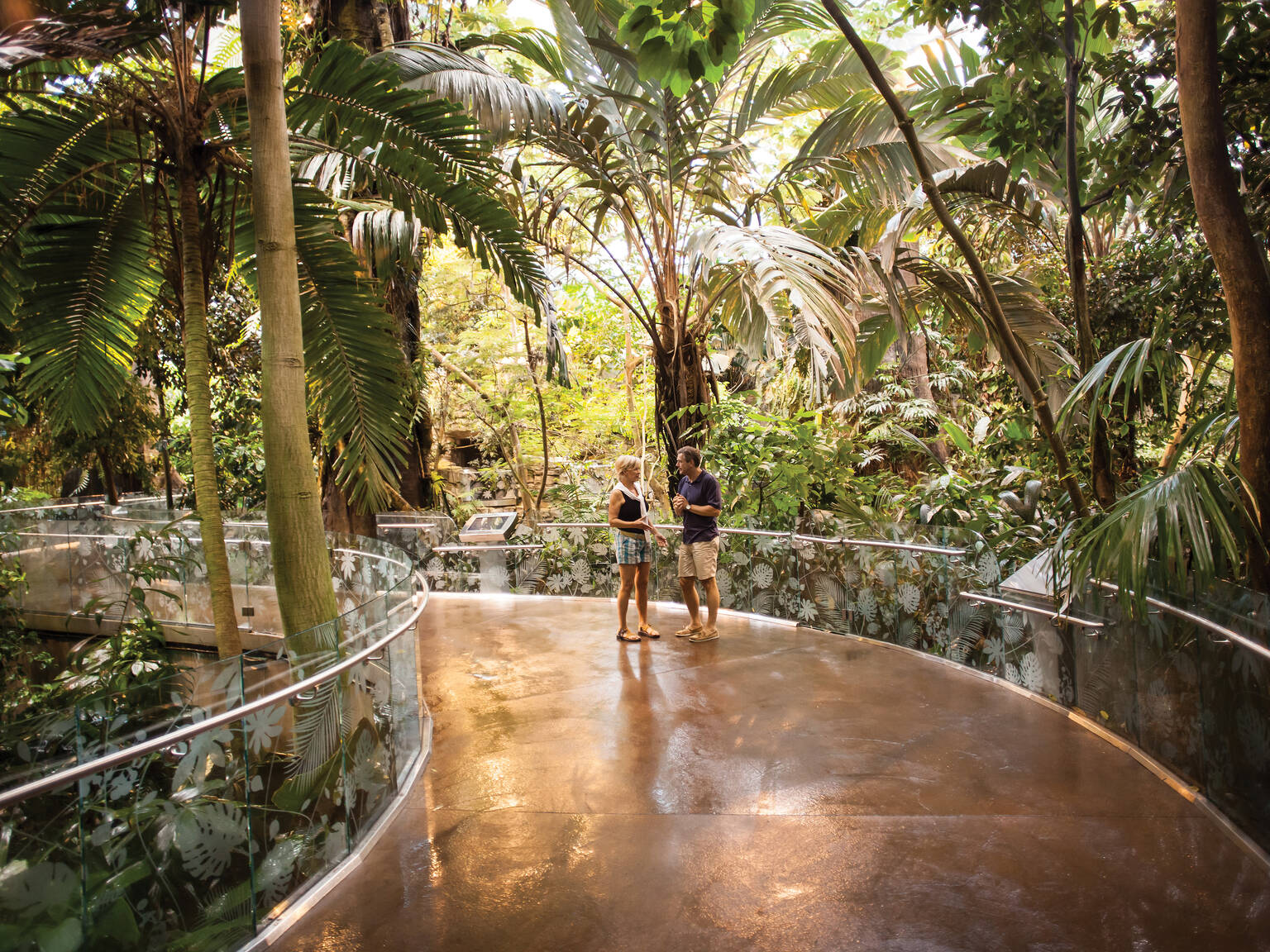 Best Montreal Zoos to Visit and Bring Out Your Wild Side