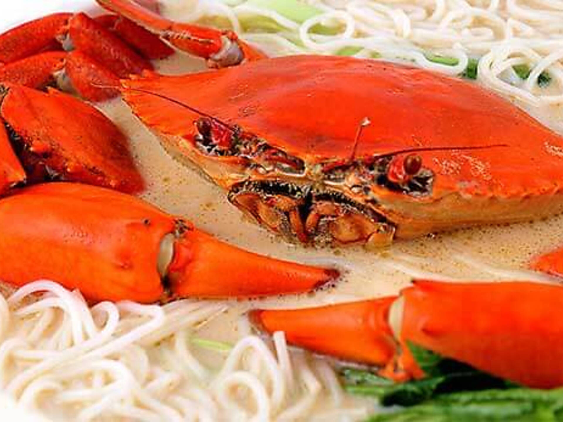 10 Best Seafood Restaurants in Singapore