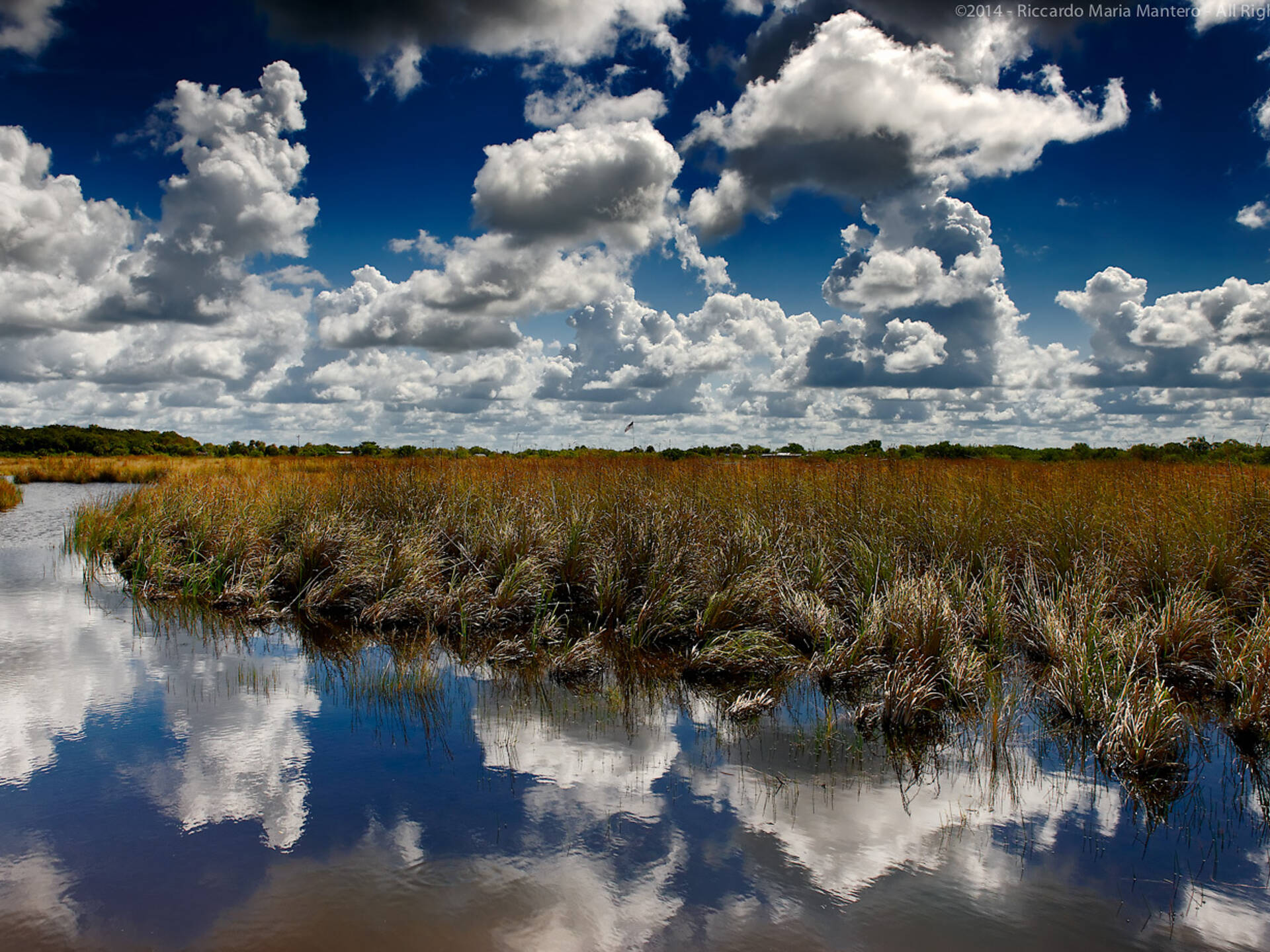 13 Best Scenic Drives around Miami for Stunning Views and Unique Sights