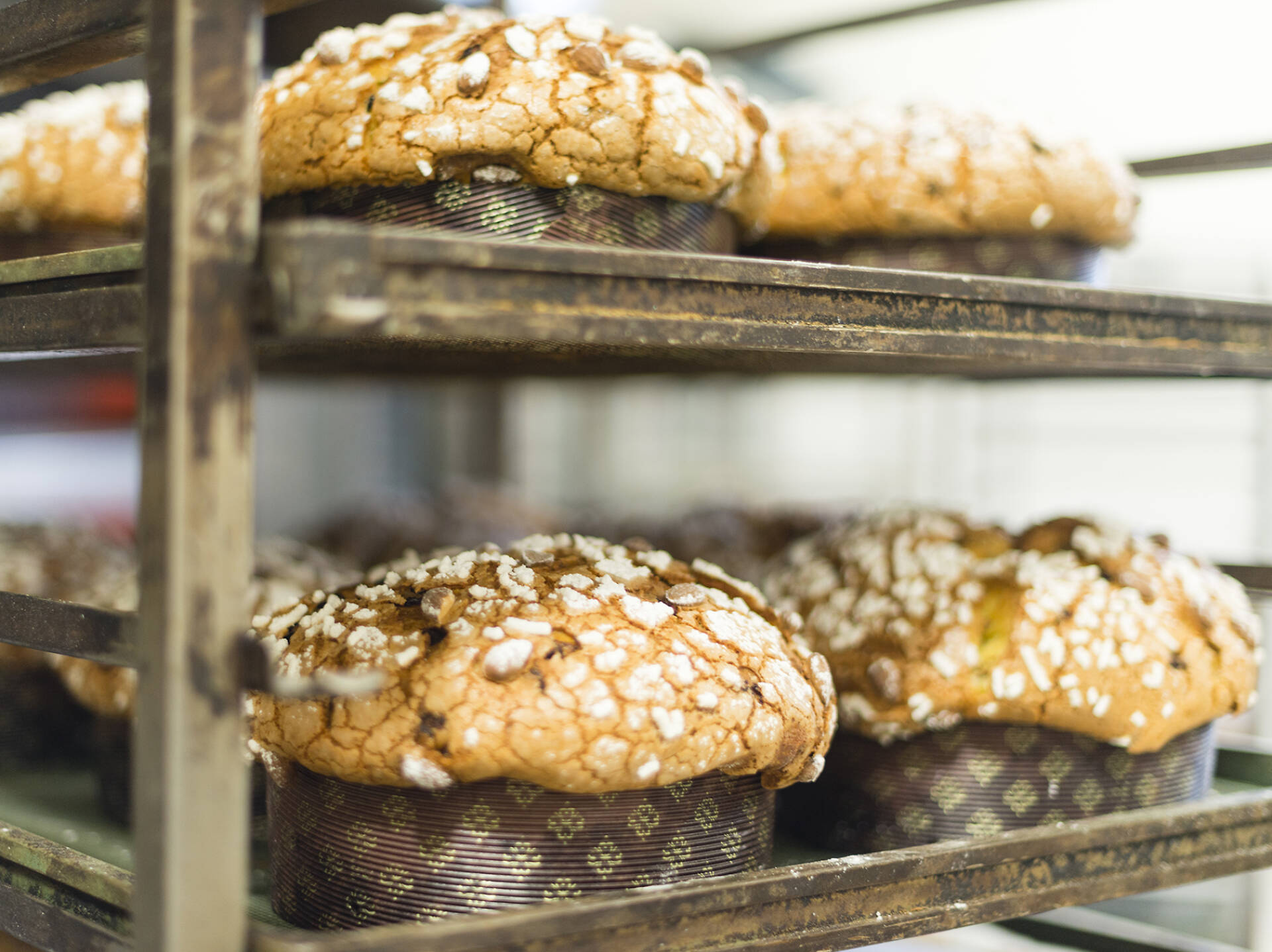 How to eat like a local in Milan: Must-try dishes and where to get them