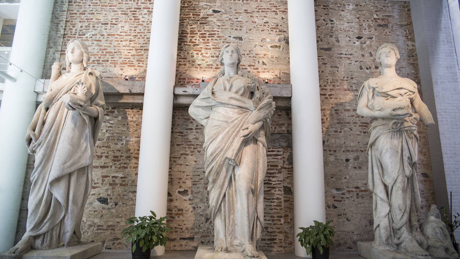 15 Best Montreal Libraries That Will Satisfy Your Inner Bookworm