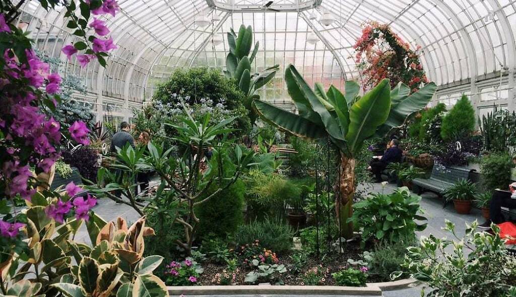 15 Best Montreal Libraries That Will Satisfy Your Inner Bookworm