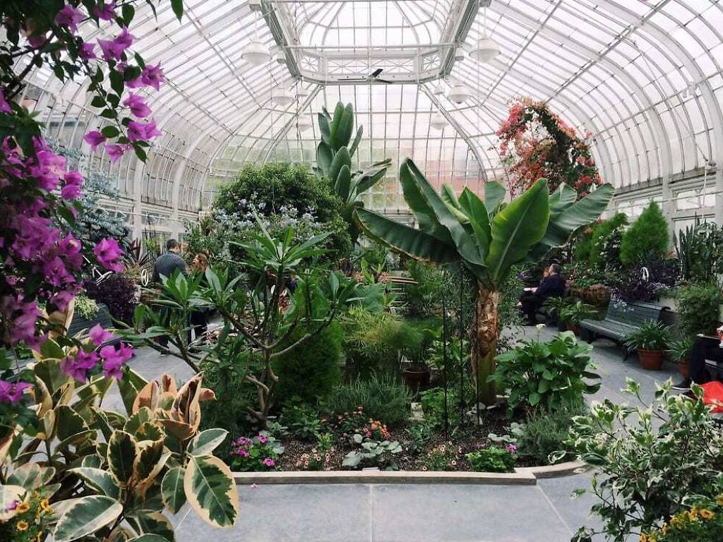 15 Best Montreal Libraries That Will Satisfy Your Inner Bookworm