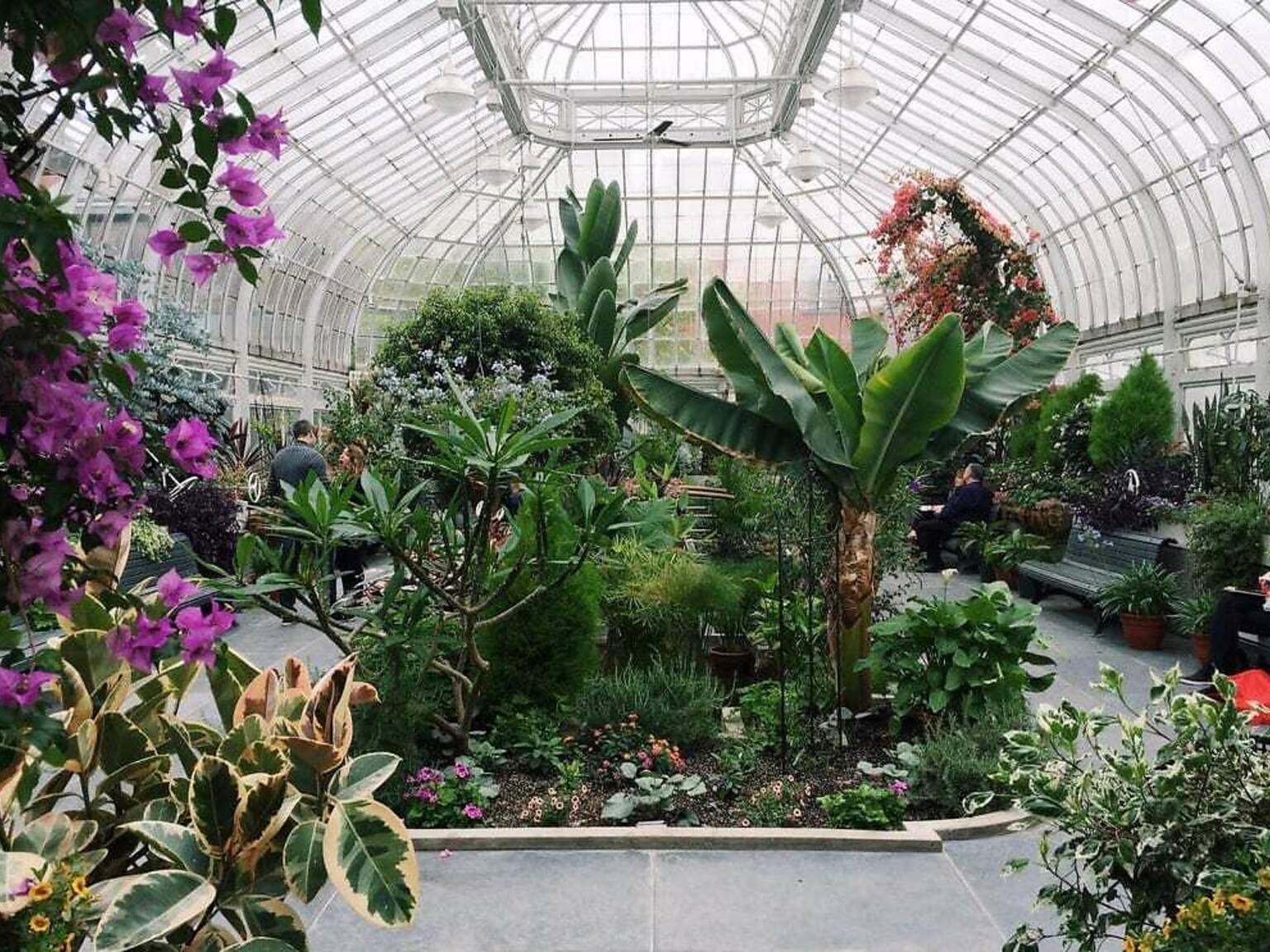 15 Best Montreal Libraries That Will Satisfy Your Inner Bookworm