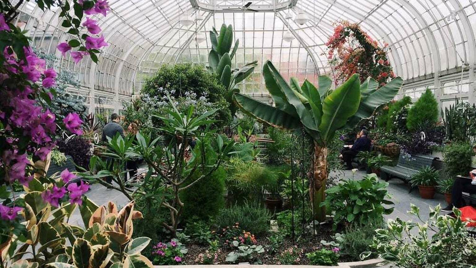 15 Best Montreal Libraries That Will Satisfy Your Inner Bookworm