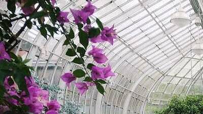 15 Best Montreal Libraries That Will Satisfy Your Inner Bookworm