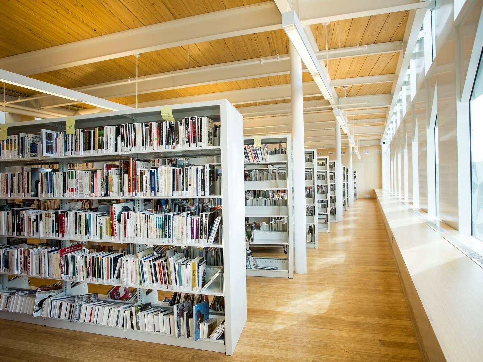 Les 15 meilleures bibliothèques à Montréal