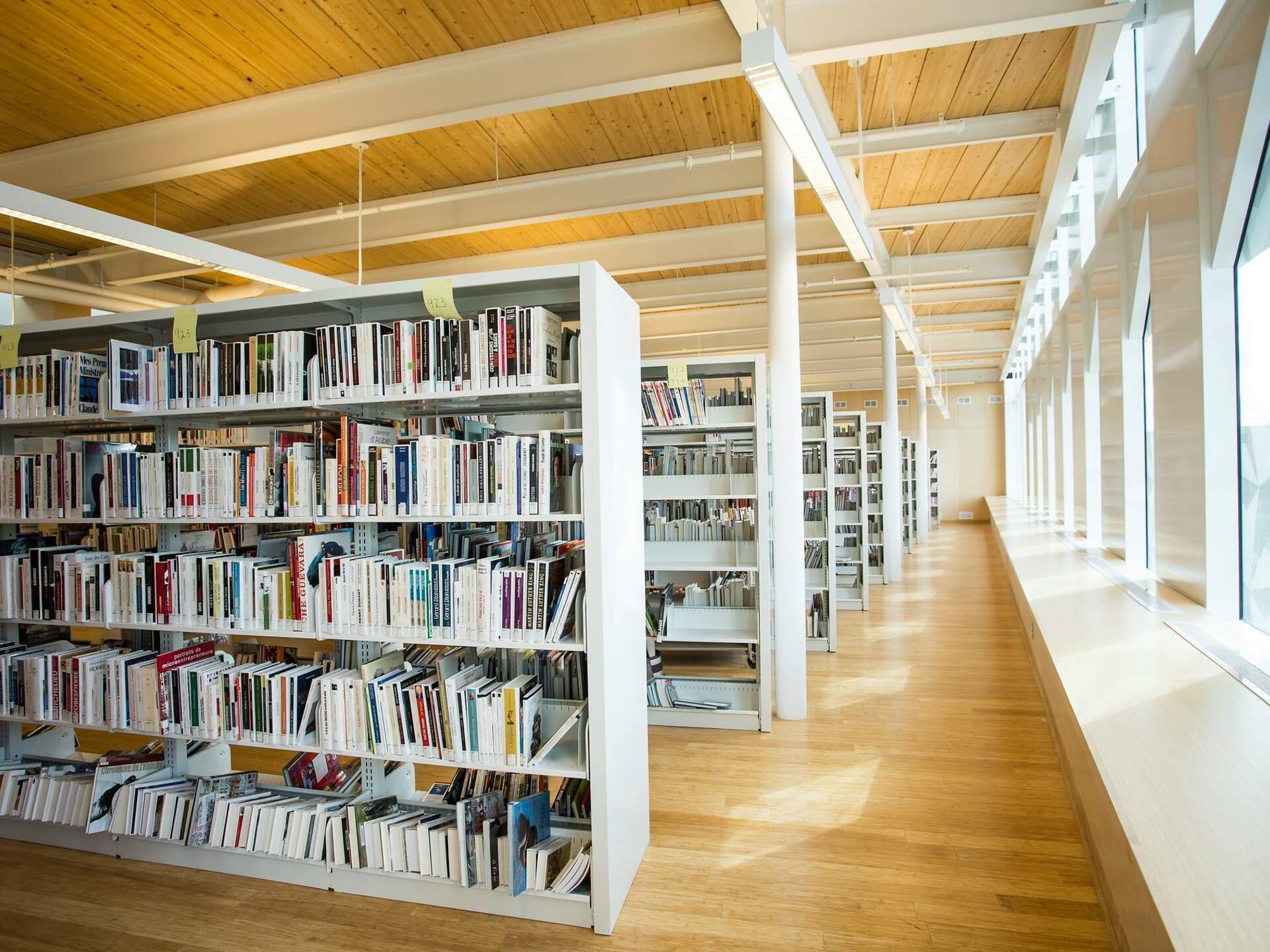 15 Best Montreal Libraries That Will Satisfy Your Inner Bookworm