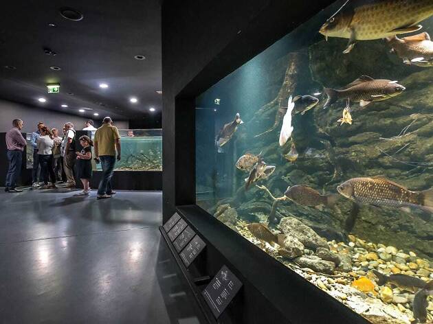 Aquatika | Attractions in Karlovac, Croatia