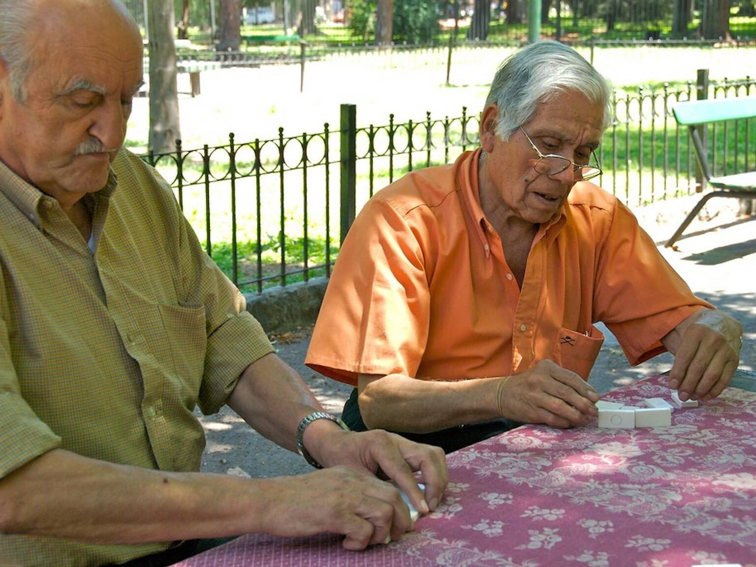 13 Super Cute Things in Miami to Check Out Right Now