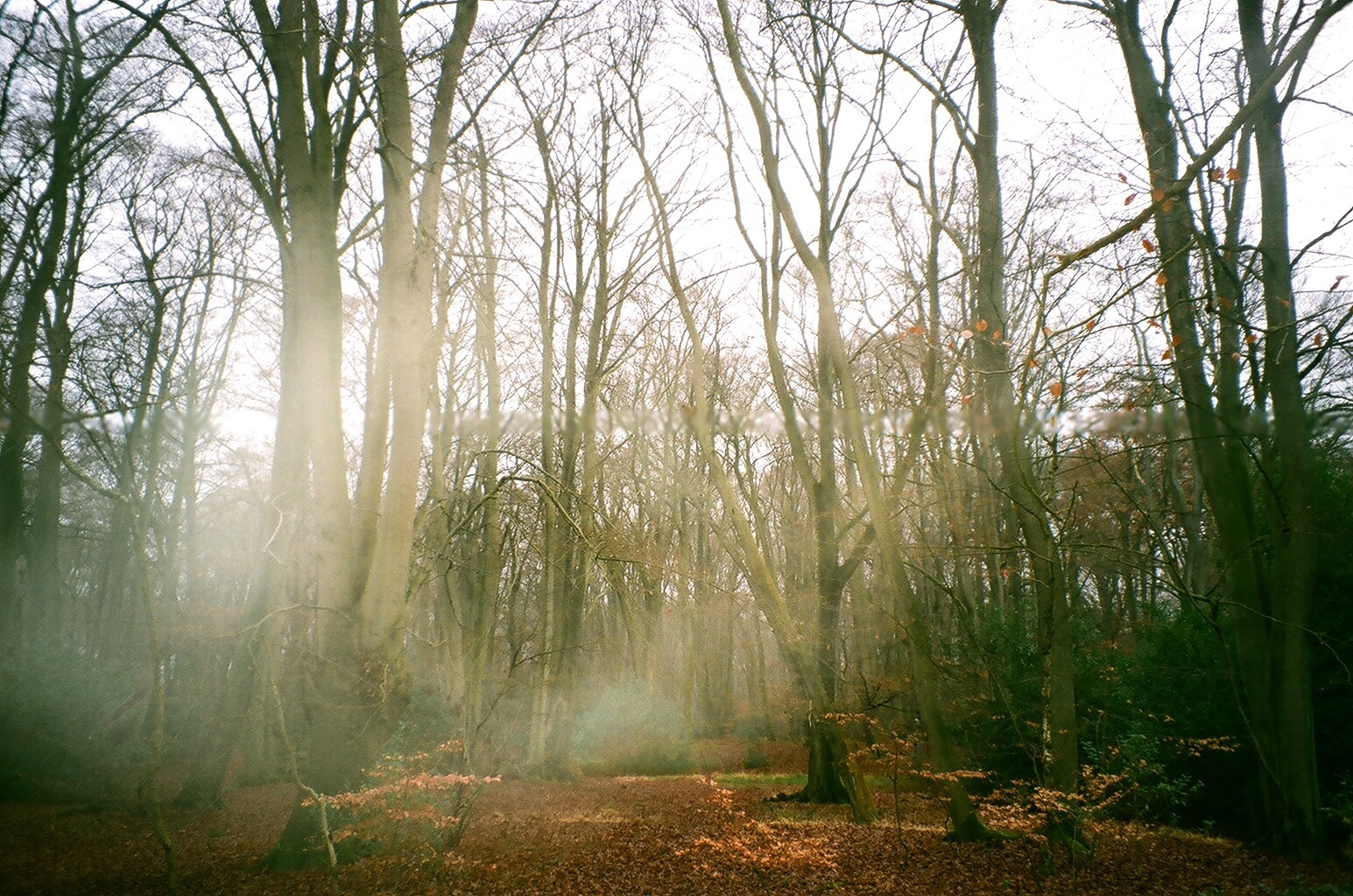 ‘The Dark Outside’ | Things to do in London