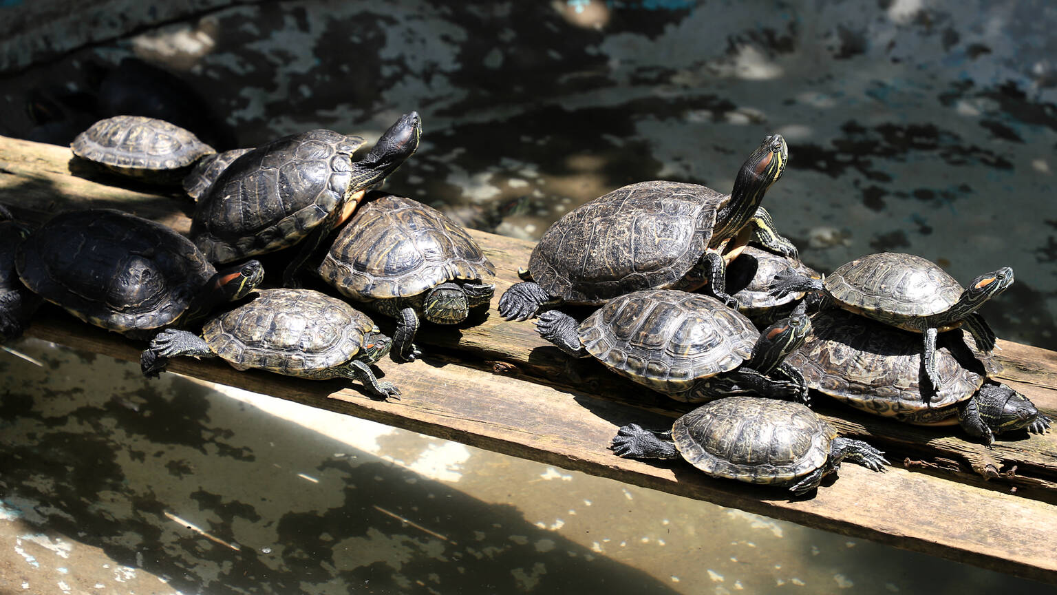 Batán Parque Ecológico, un paraíso verde en San Jerónimo