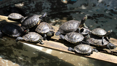 Batán Parque Ecológico, un paraíso verde en San Jerónimo